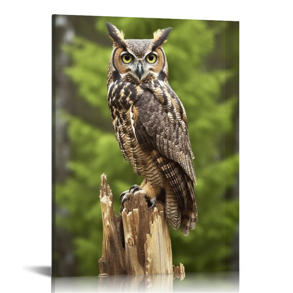 COMIO Wild Animals Owl Poster Funny Wall Art Decor Poster Canvas ...