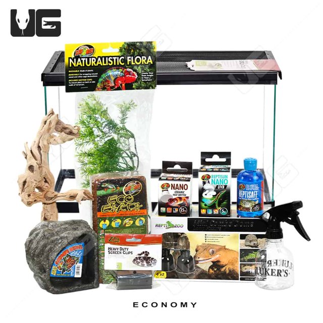 COMPLETE 10 Gallon Tree Frog Setup - Economy - With Tank - Walmart.com