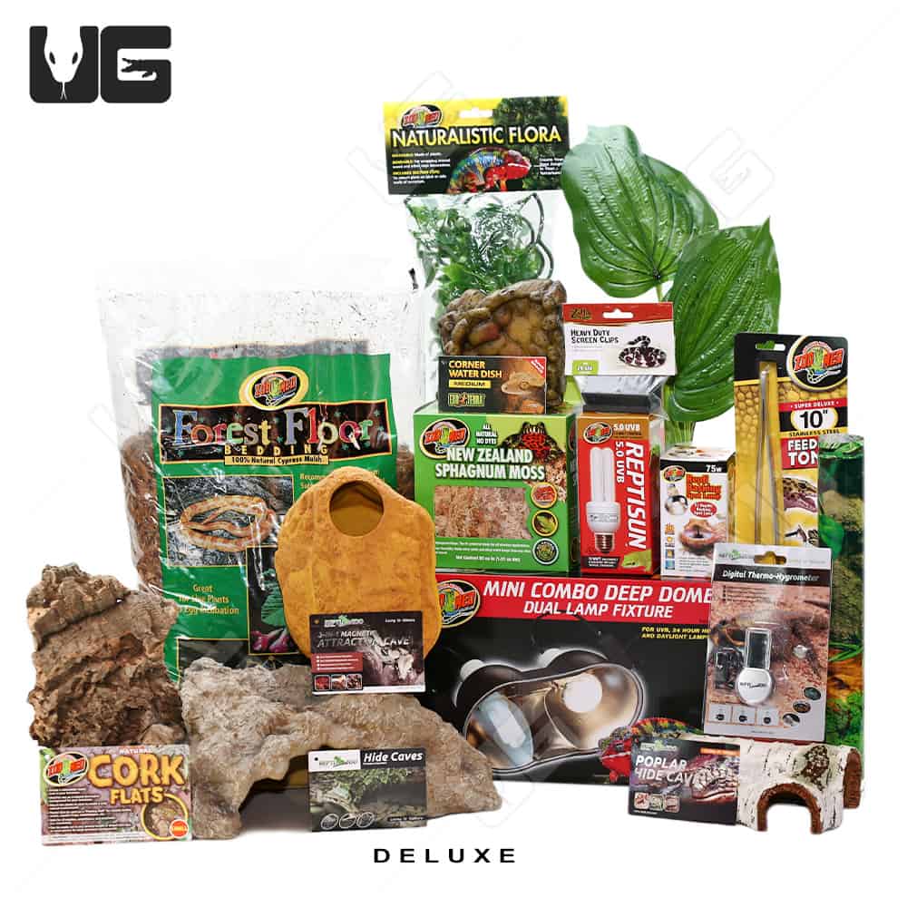 COMPLETE 20 Gallon Baby Corn/King/Milk/Rat Snake Setup - Deluxe ...