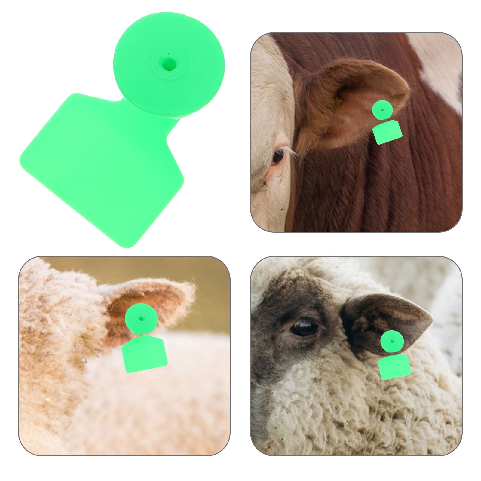 COMPUKAS 100Pcs Plastic Cattle Identification Tags for Farmers ...