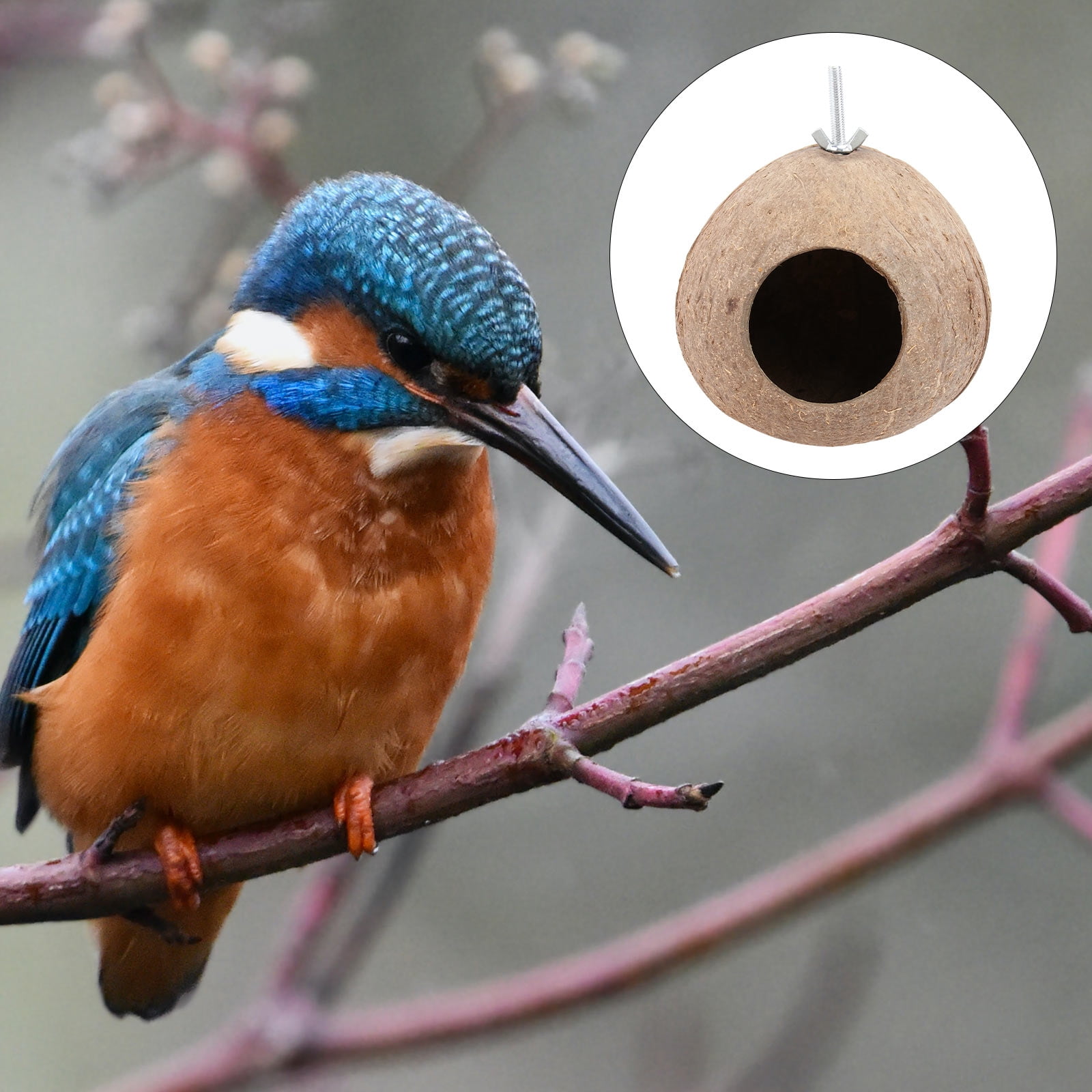 COMPUKAS 1Pc Bird Coconut Hut in Nest Shape for Small Birds and Garden ...