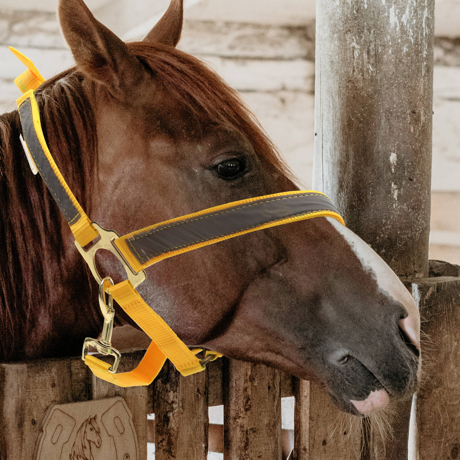 COMPUKAS Portable Horse Halter Stainless Steel Yellow Design 1Set ...