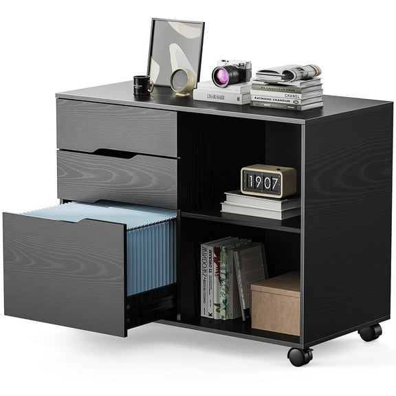 CONCETTA 2-Drawer Rolling File Cabinet with Lockable Wheels, Printer ...