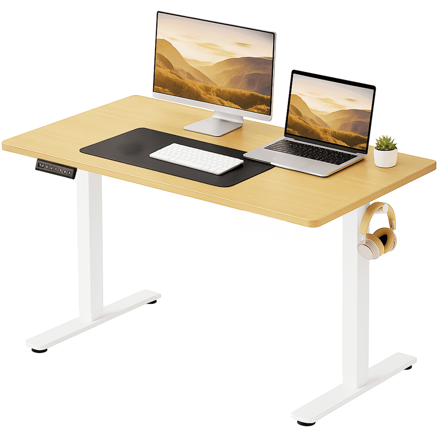 CONCETTA Electric Standing Desk, 48''x24'' Height Adjustable Desk, Home ...
