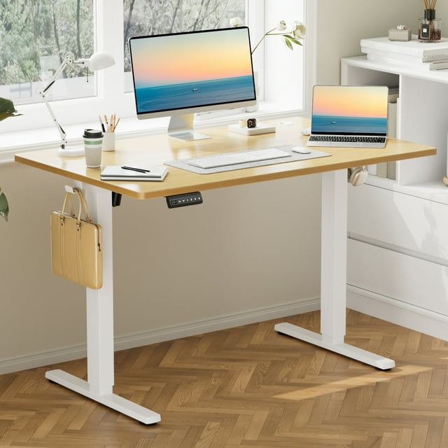 CONCETTA Electric Adjustable Height Standing Desk - 48 x 24 inch Desk ...