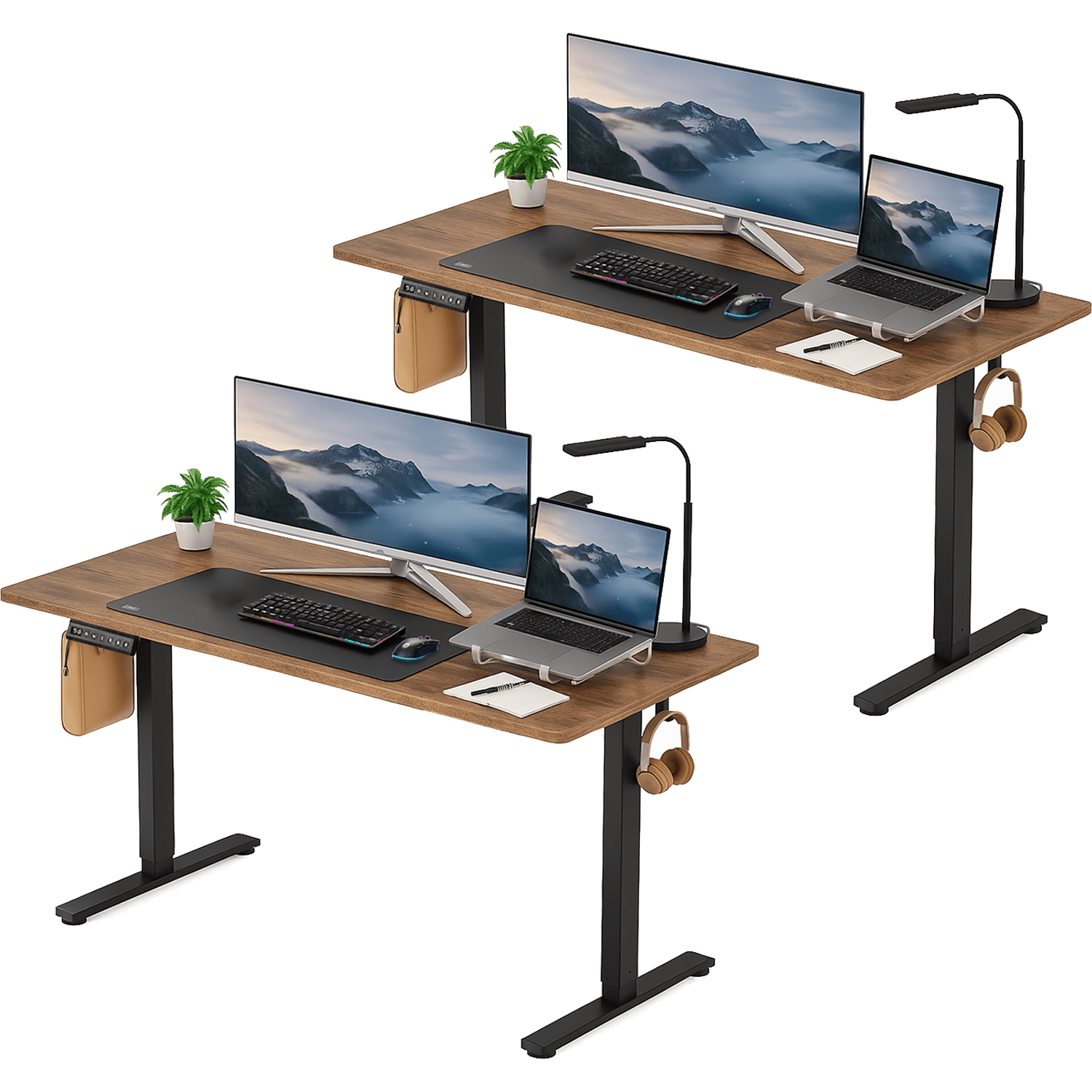 CONCETTA Electric Standing Desk, 63''x24'' Height Adjustable Desk, Home ...