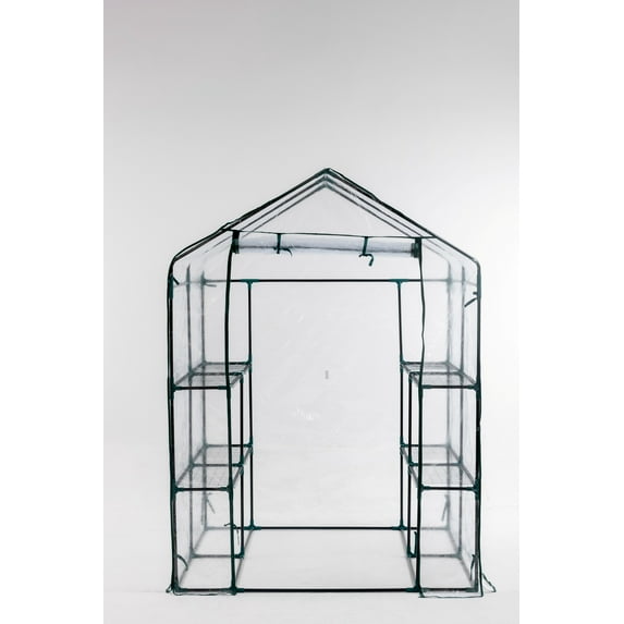 CONCETTA Mini Walk-in Greenhouse Plant Tent with 5/8" Powder-Coated ...