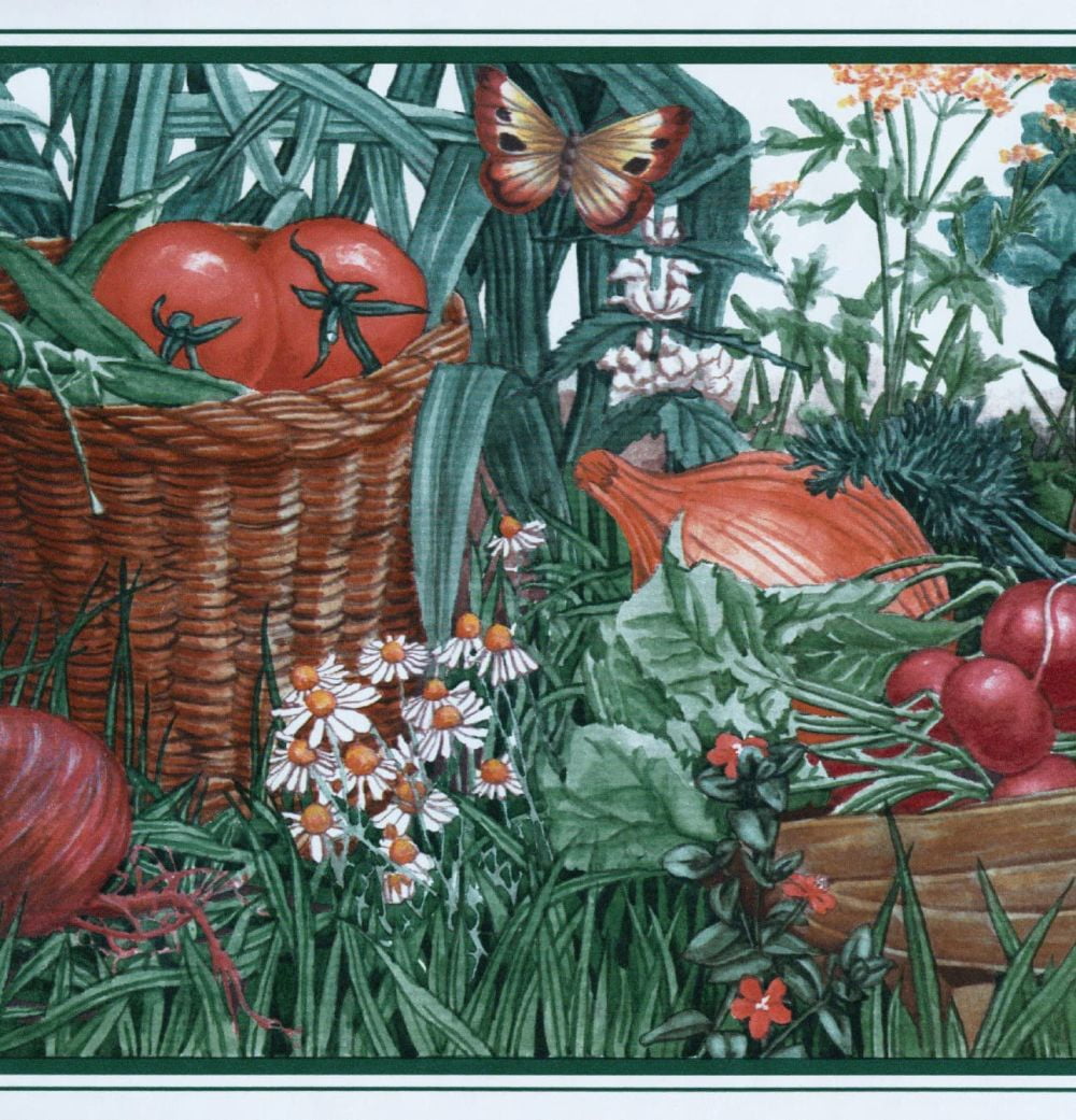 CONCORD WALLCOVERINGS ™ Wallpaper Border Garden Pattern Fresh ...