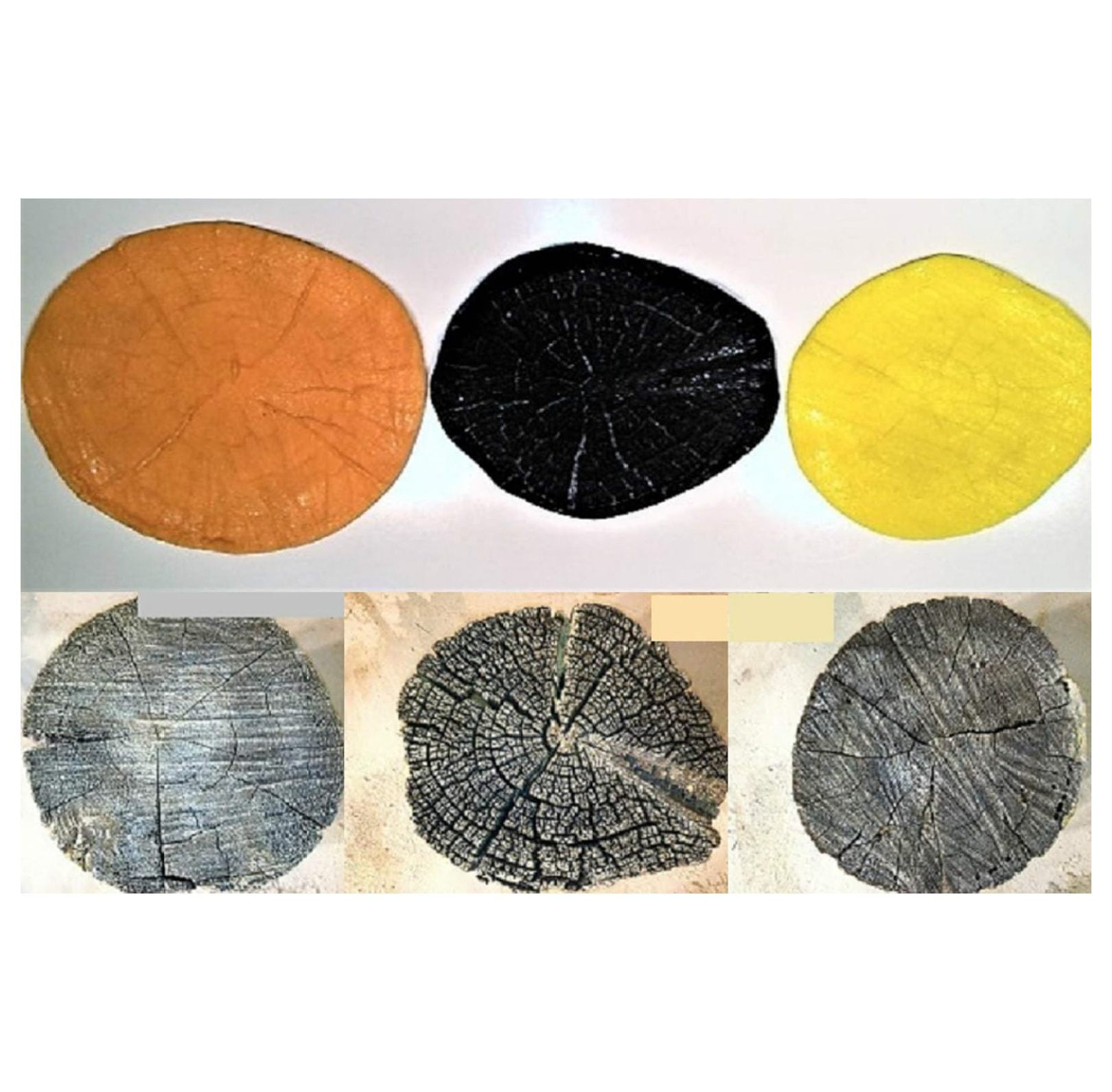 CONCRETE TEXTURE - TREE STUMP STAMP KIT, Perfect Tree for Making ...