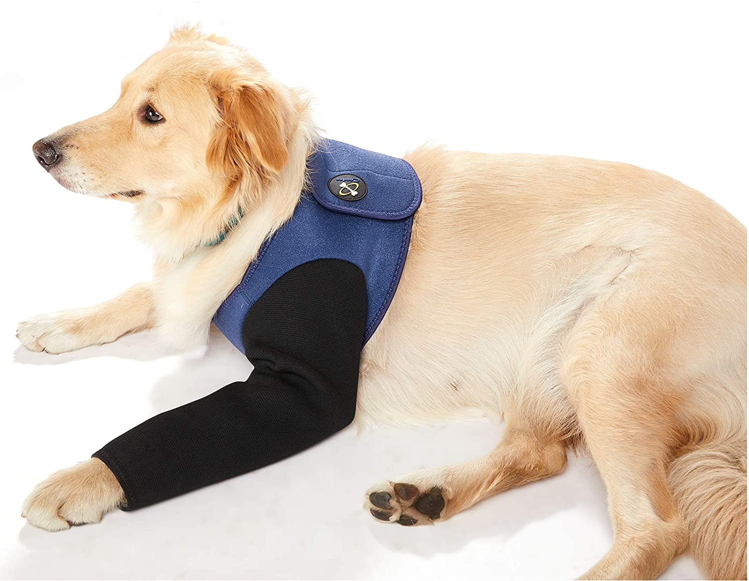 COODEO Dog Recovery Suit, Cone Collar Alternative, Waterproof Dog ...