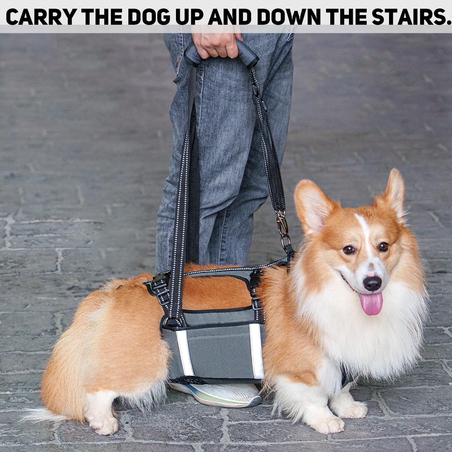 COODEO Mobility Dog Lift Harness - Emergency Carry Sling for Senior ...