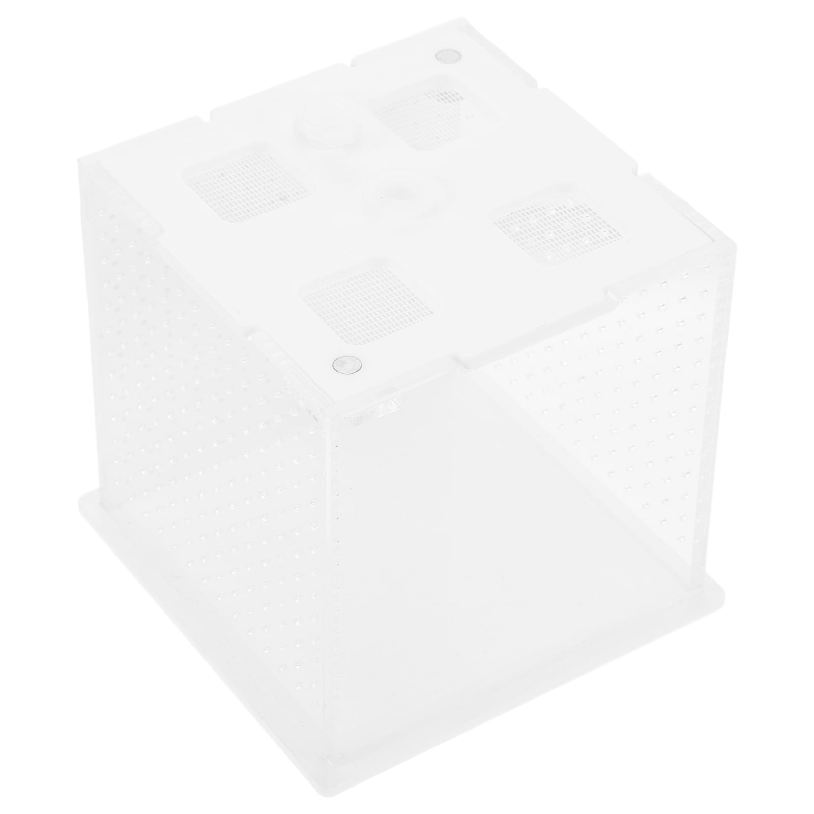 COOPHYA 9.3x9.3x8.3in Transparent Reptile Feeding Box 1Pcs for Snail ...