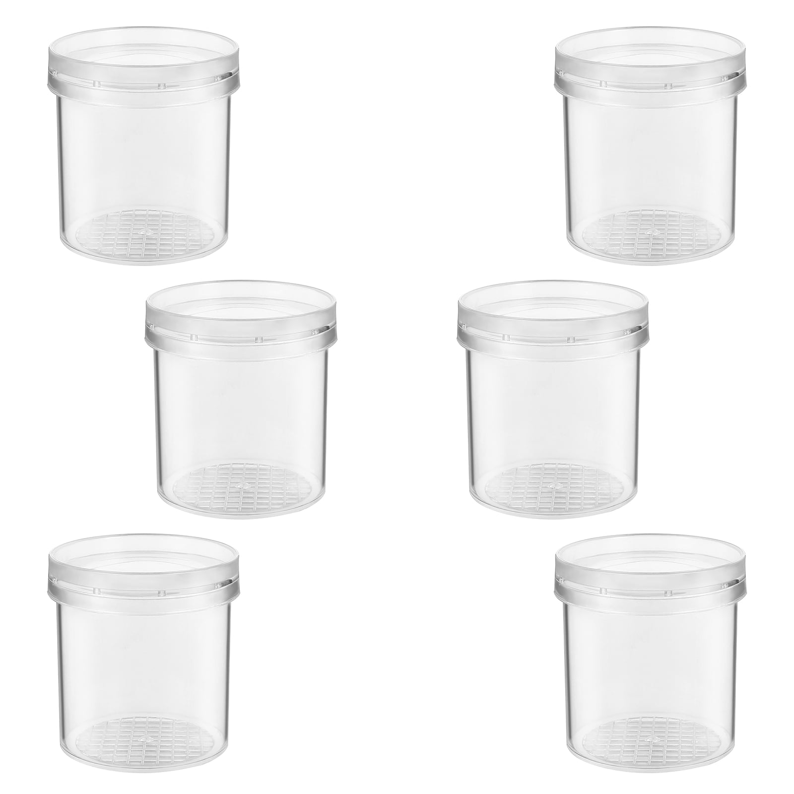 COOPHYA Insect Observation Tank 6Set Transparent Plastic for Kids with ...