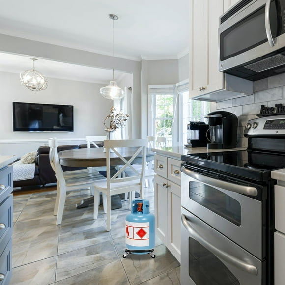 Propane Tank Storage Box