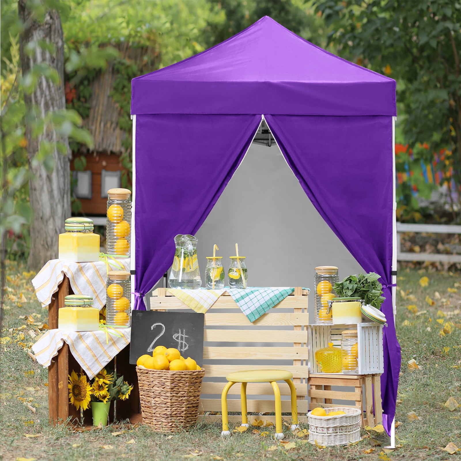 COOS BAY 5x5 Pop-up Instant Outdoor Canopy with 4 Side Wall Panels ...
