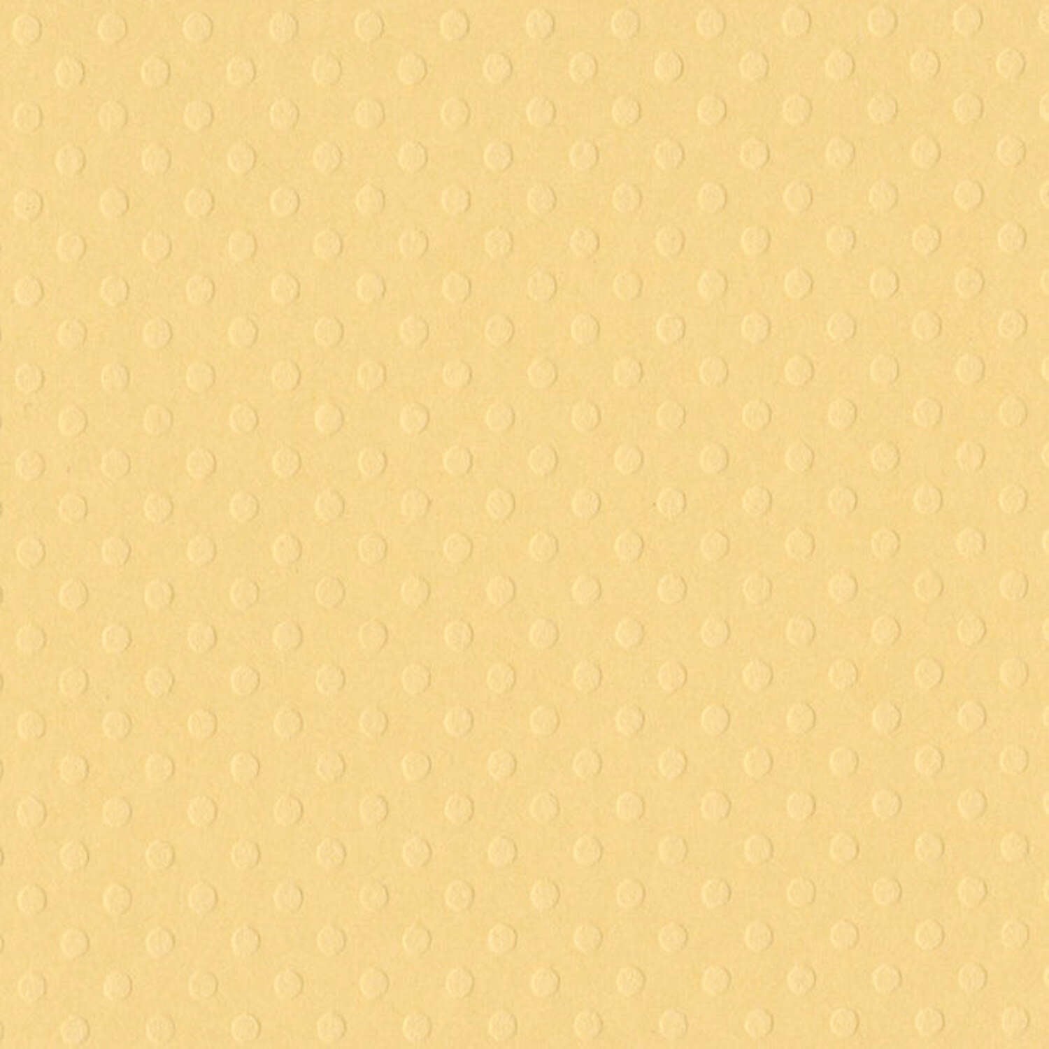 CORNMEAL - 12x12 Dotted Swiss Embossed Cardstock by Bazzill for Premium ...