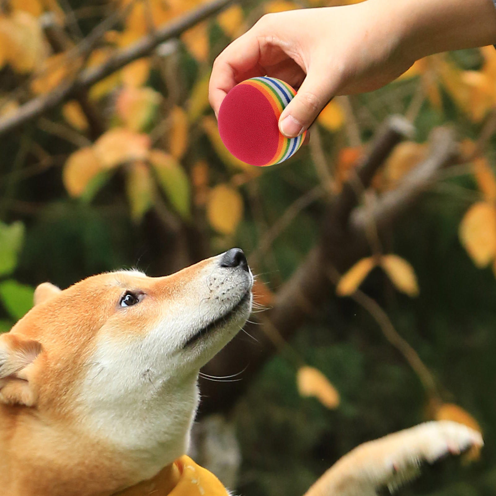 COSMOBETTY 10Pcs Tennis Ball Shape EVA Pet Toy Balls for Puppy Chewing ...