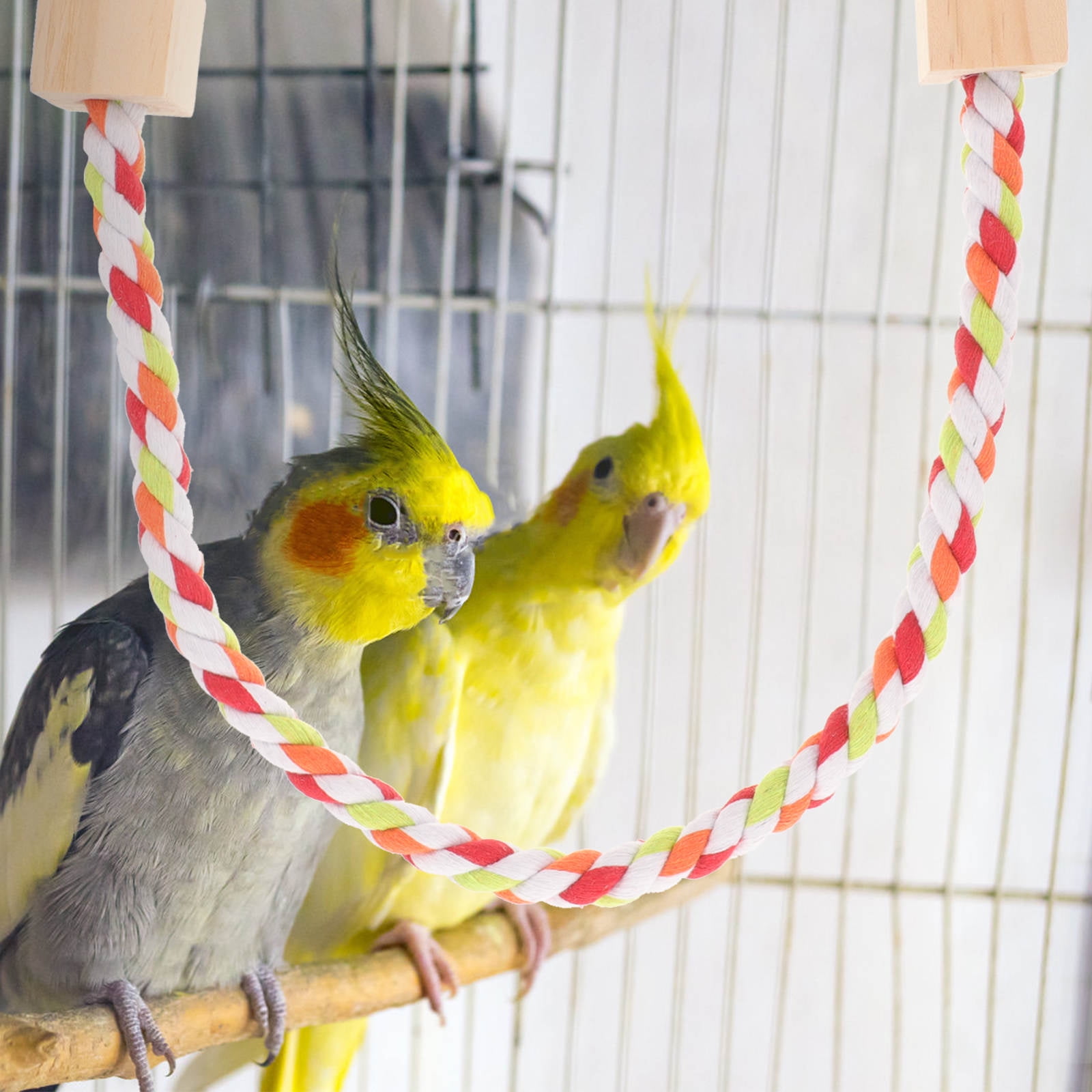 COSMOBETTY 1Pack Bird Perch for Cage Wooden Round Stick with Climbing ...