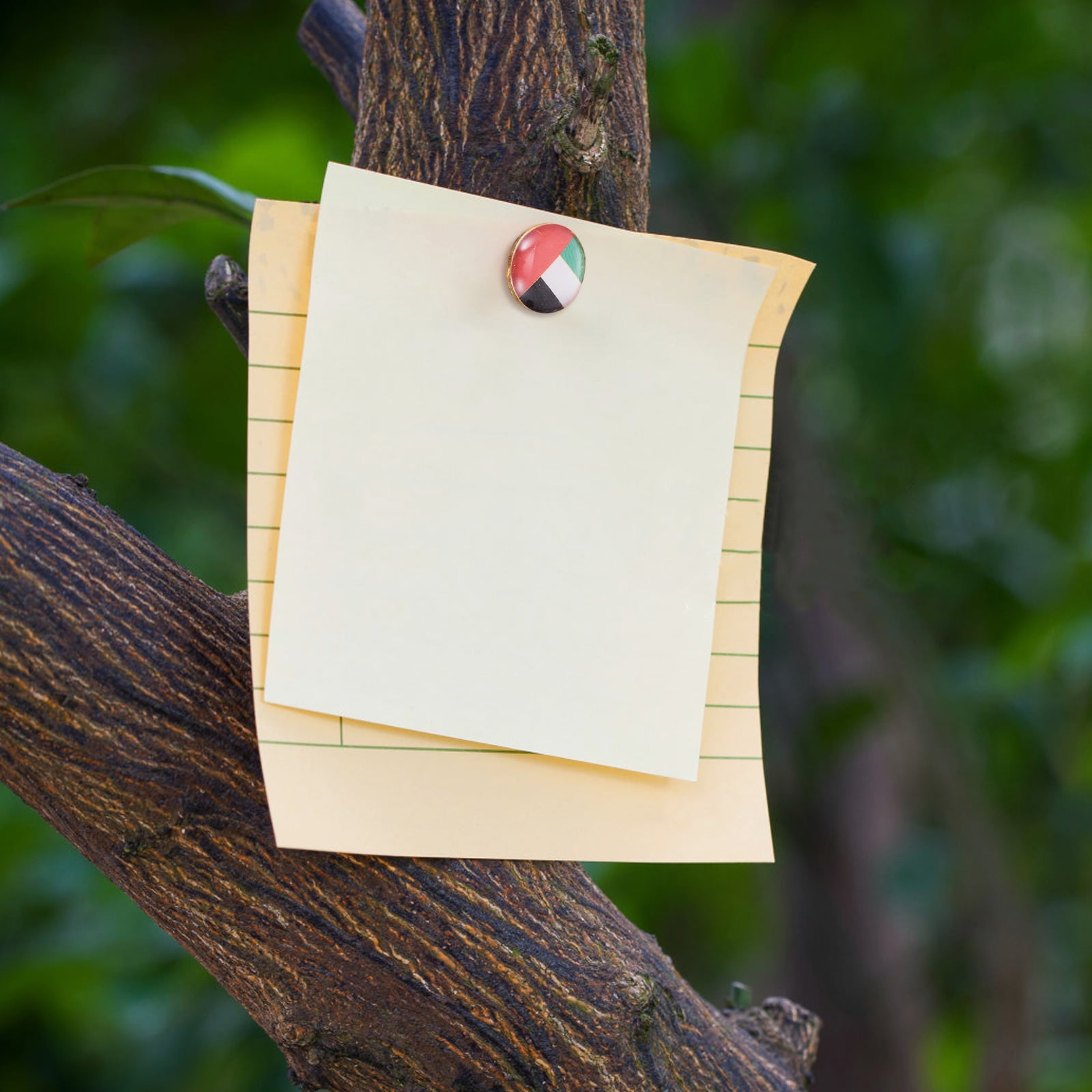 COSMOBETTY Poster Board Flag Push Pins 194Pcs Steel Assorted Color For ...