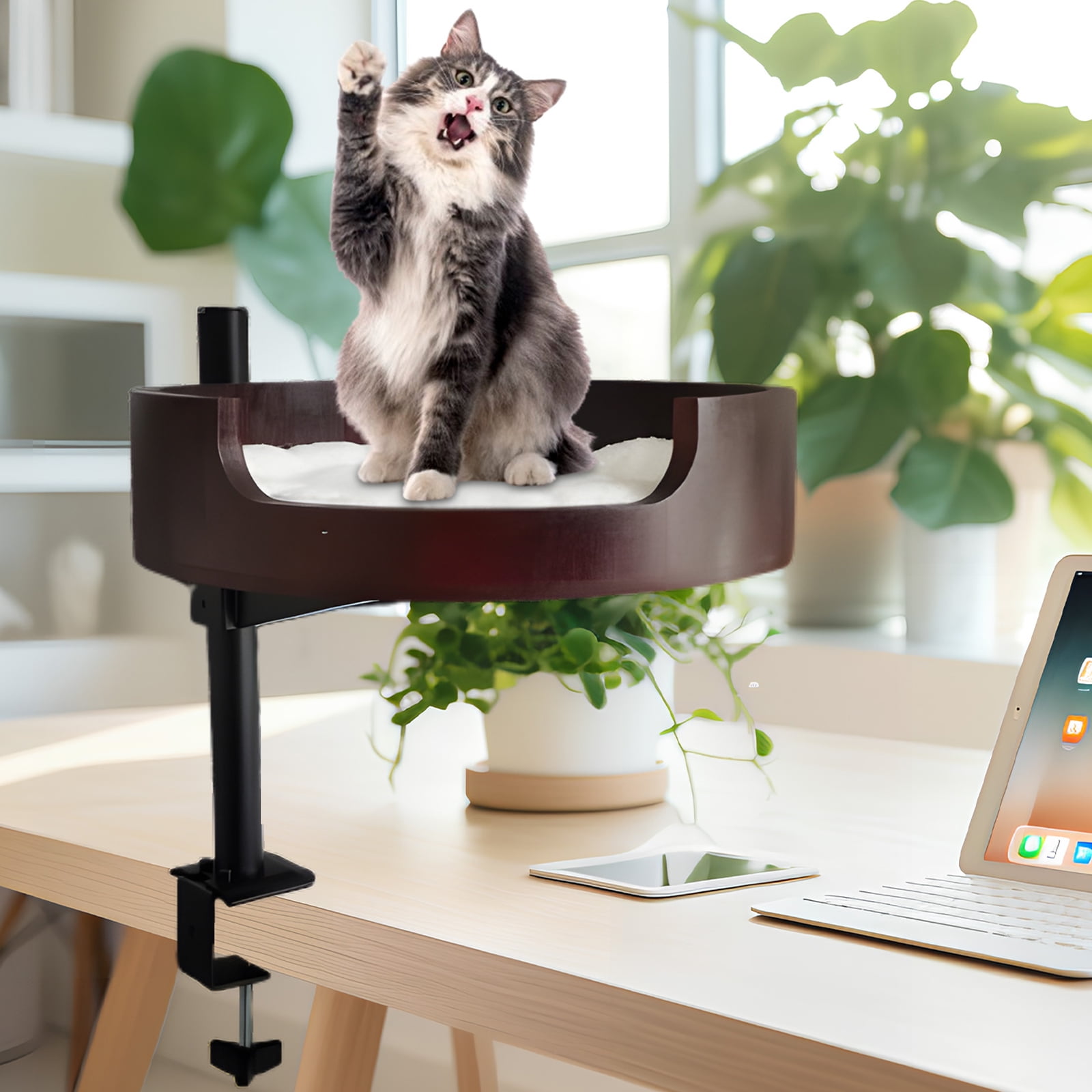 COSTYLE Cat Desk Bed - Mounted Desktop Adjustable Wooden Cat Bed for ...