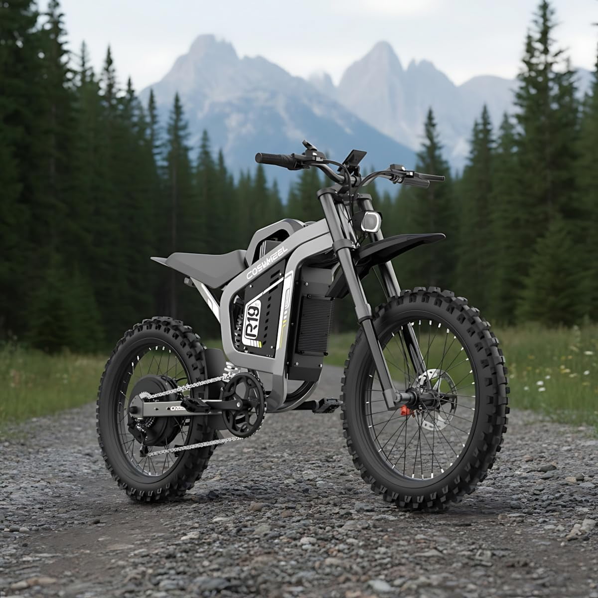 COSWHEEL R19 Electric Bike for Adults 6000W Peak 72V/40AH 46.6MPH 19x4 ...