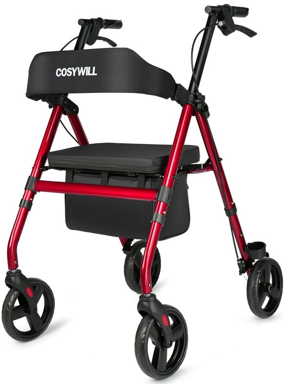 Mobility Walkers and Rollators in Home Health Care - Walmart.com