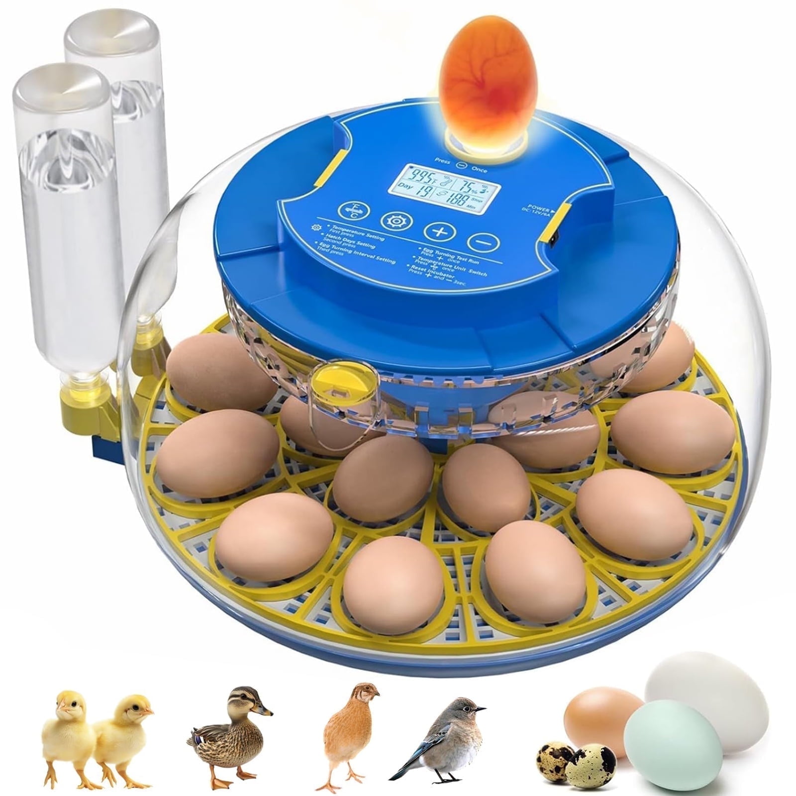 COUTEER 18 Egg Incubator, Automatic Egg Turning, Temperature, Humidity ...