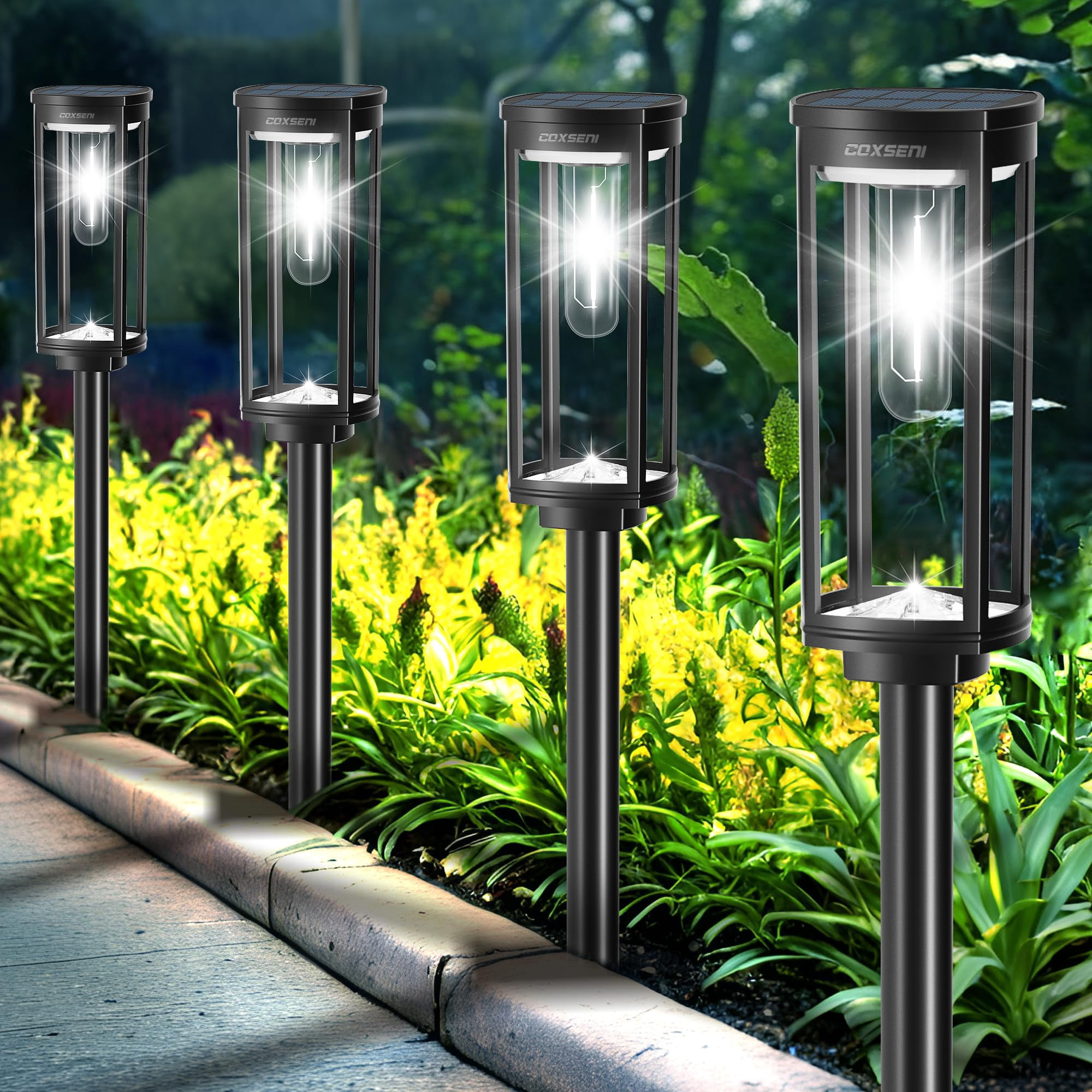 COXSENI Solar Path Lights RRF12 Outdoor 8 Pack, Bright Solar Pathway ...