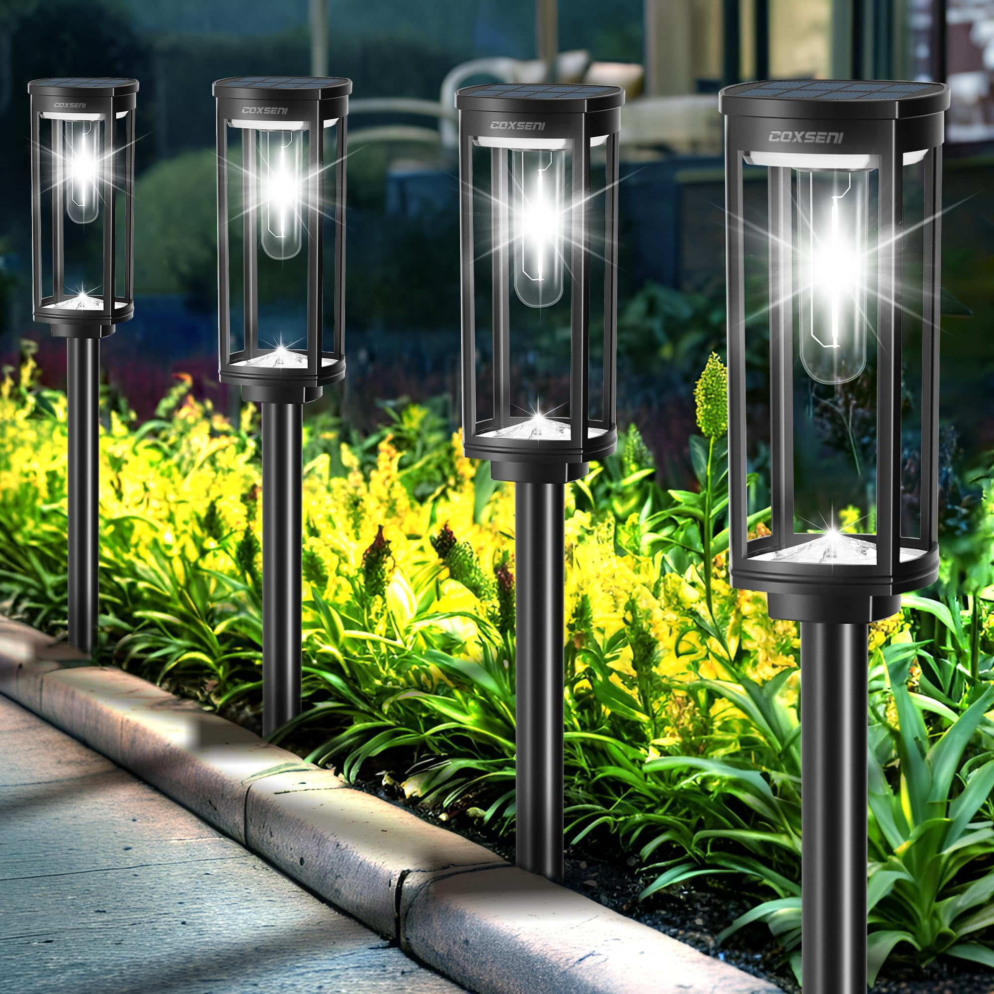 COXSENI Solar Pathway Lights MMF7 Outdoor 6 Pack, Bright Solar Path ...