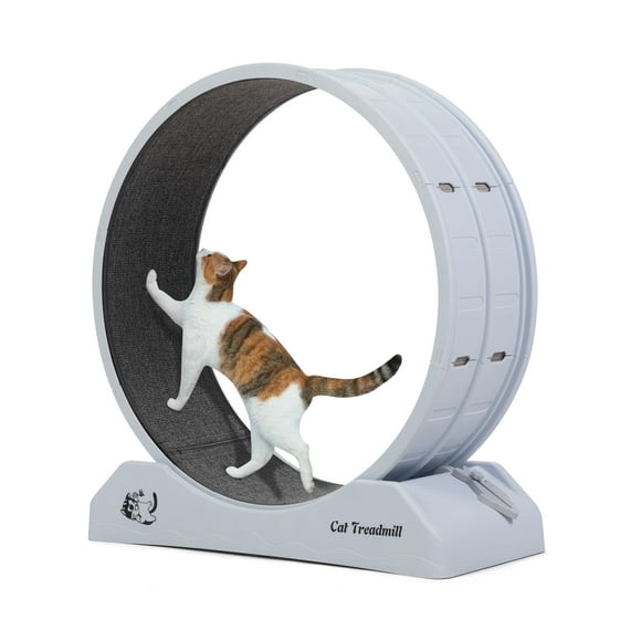Cat Wheels in Cats - Walmart.com
