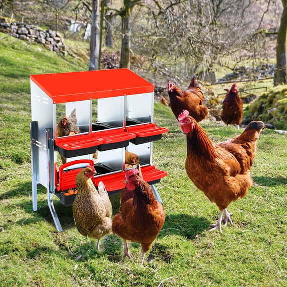 COZONY 6 Compartment Metal Chicken Nesting Box w/ bracket legs ...