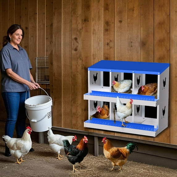 COZONY 6 compartments Metal Chicken Nesting Box w/ Automatic Roll Out ...