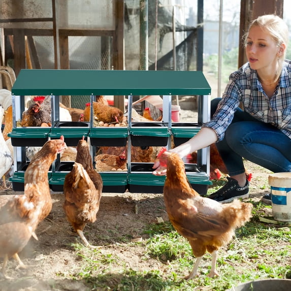 COZONY 8 Compartment Metal Chicken Nesting Box w/ Automatic Roll Out ...