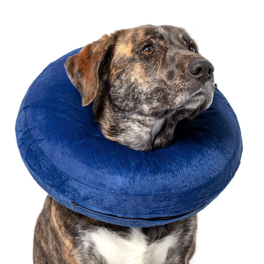 Calm Paws Basics Inflatable Adjustable Collar for Dogs, Large - Walmart.com