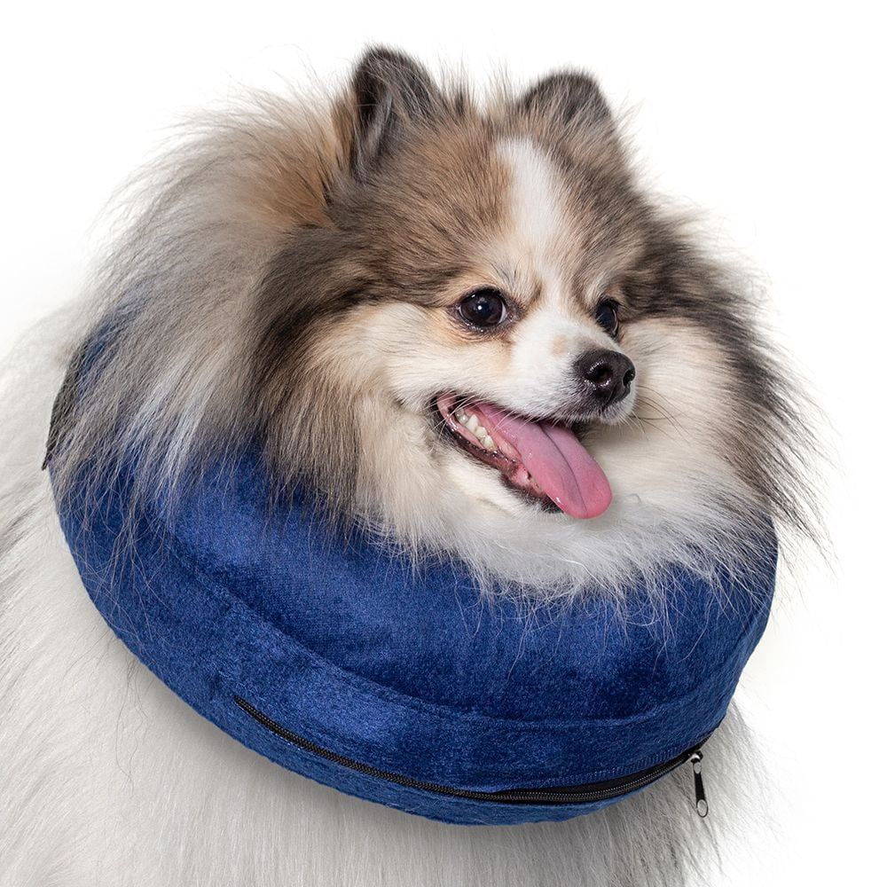 Calm Paws Basics Inflatable Adjustable Collar for Dogs and Cats, Small ...