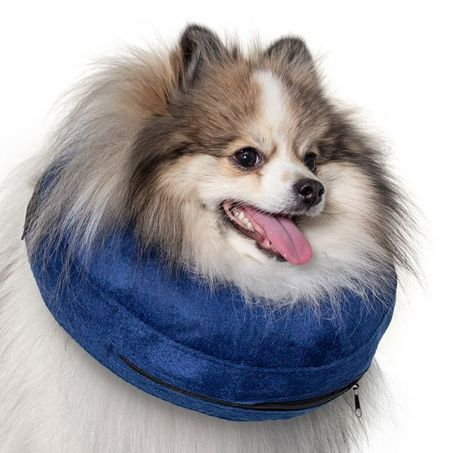 Calm Paws Basics Inflatable Adjustable Collar for Dogs and Cats, Small ...
