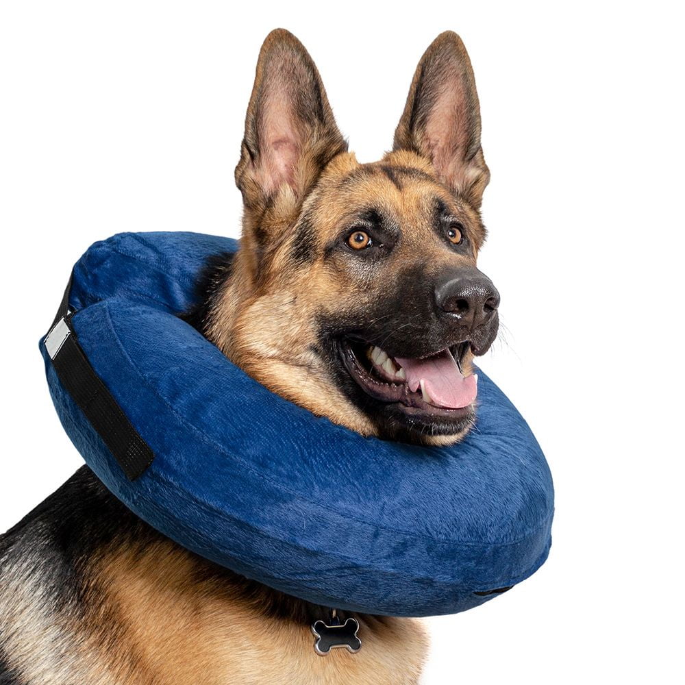 Calm Paws Basics Inflatable Adjustable Collar for Dogs, X Large ...