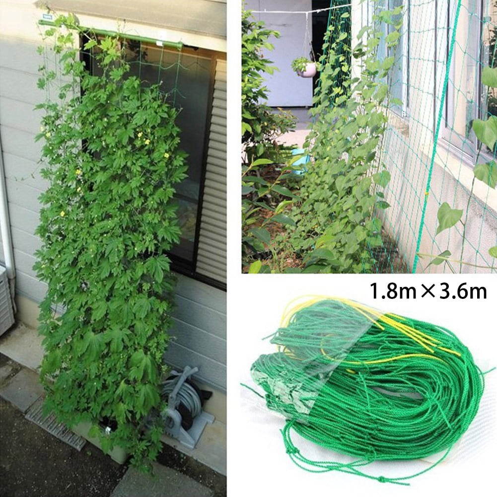 CPAN Plant Support Mesh Garden Net Vegetable/Fruit Climbing Netting Pea ...