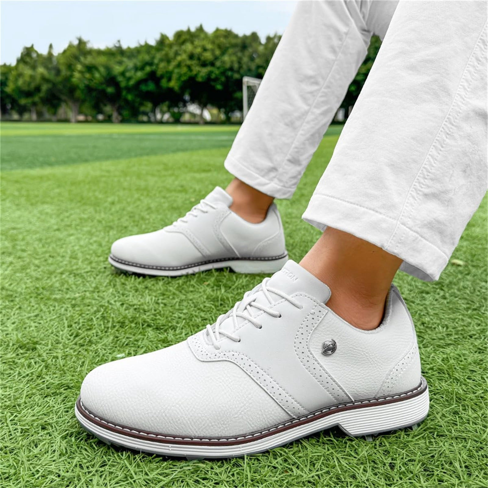 CPNG Men Golf Shoes Professional Waterproof Professional Walking ...