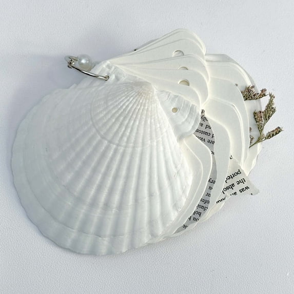 CQCYD under $5 Abalone Shell Journal, Abalone Shell Diary NoteNovel ...