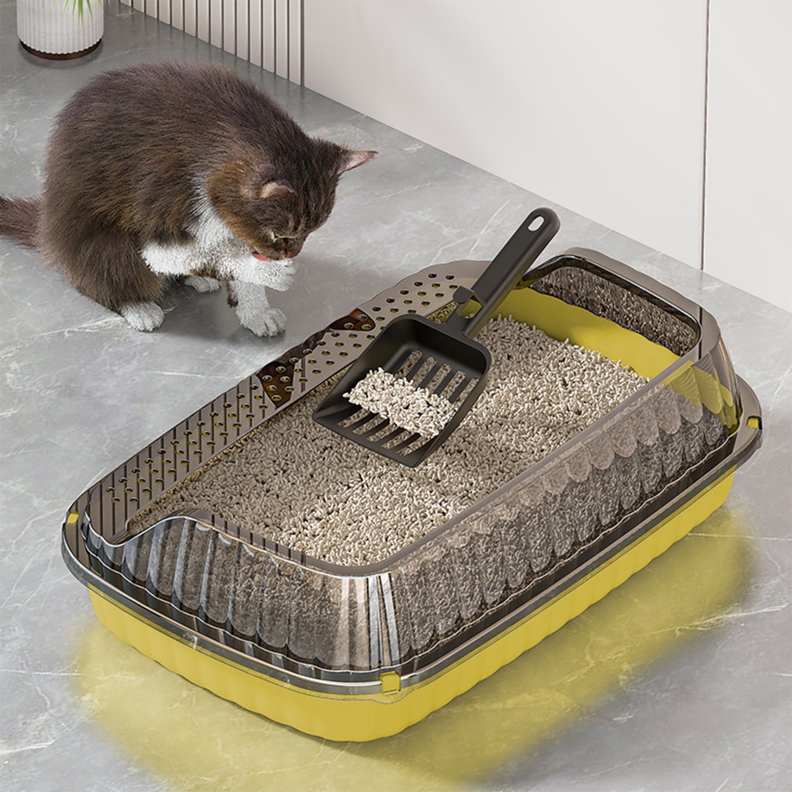 CQCYD under $5 Small Cat Litter Box with High Side, Anti-Splashing Kitten Litter Pan,Semi ...