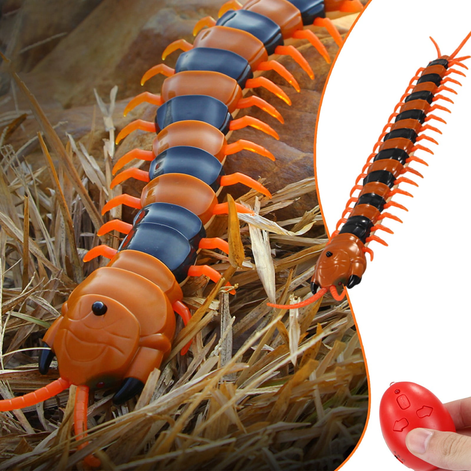 CQCYD Toys under $5 Simulation RC Centipede Scolopendra Realistic ...