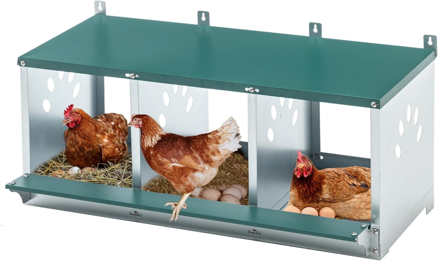 CQRF Metal Chicken Nesting Box 3 Compartment Nesting Box, 3 Room Metal ...