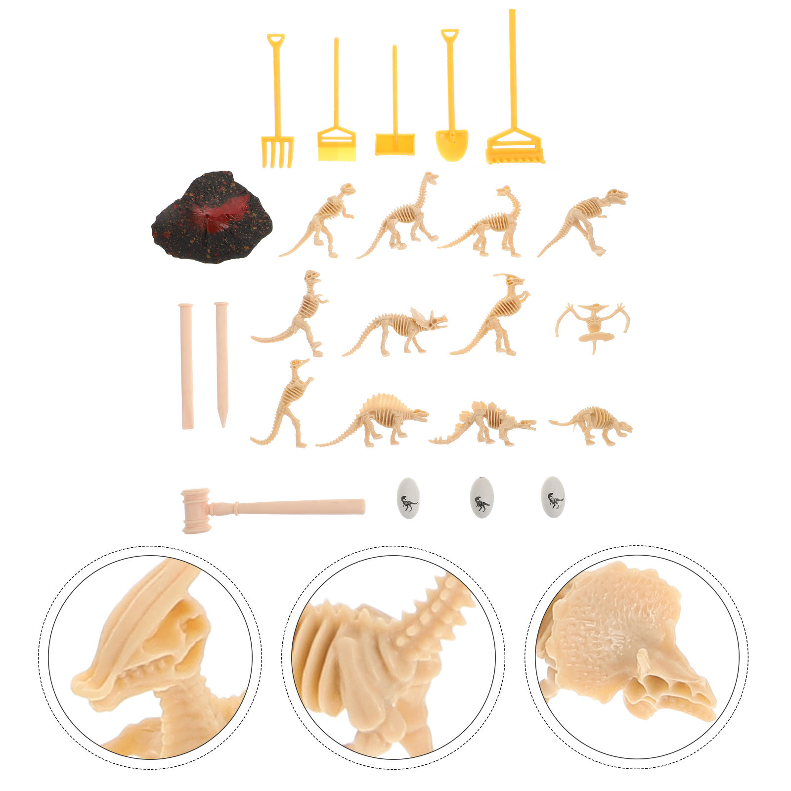 CRAFTHROU 24Pcs Dinosaurs Skeletons Models Assorted Color Realistic ...