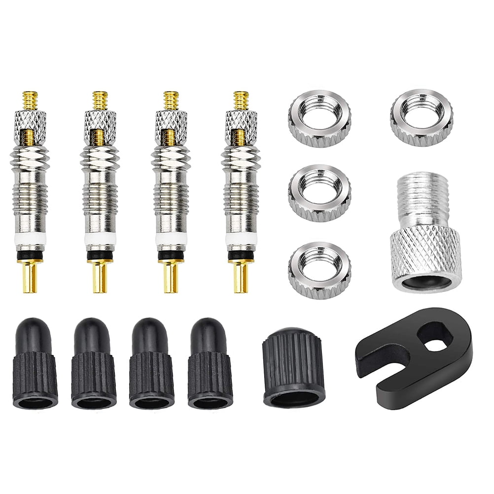 CRAFTHROU Bike Tire Valves Core 1 Set Replacement for Broken Valves ...