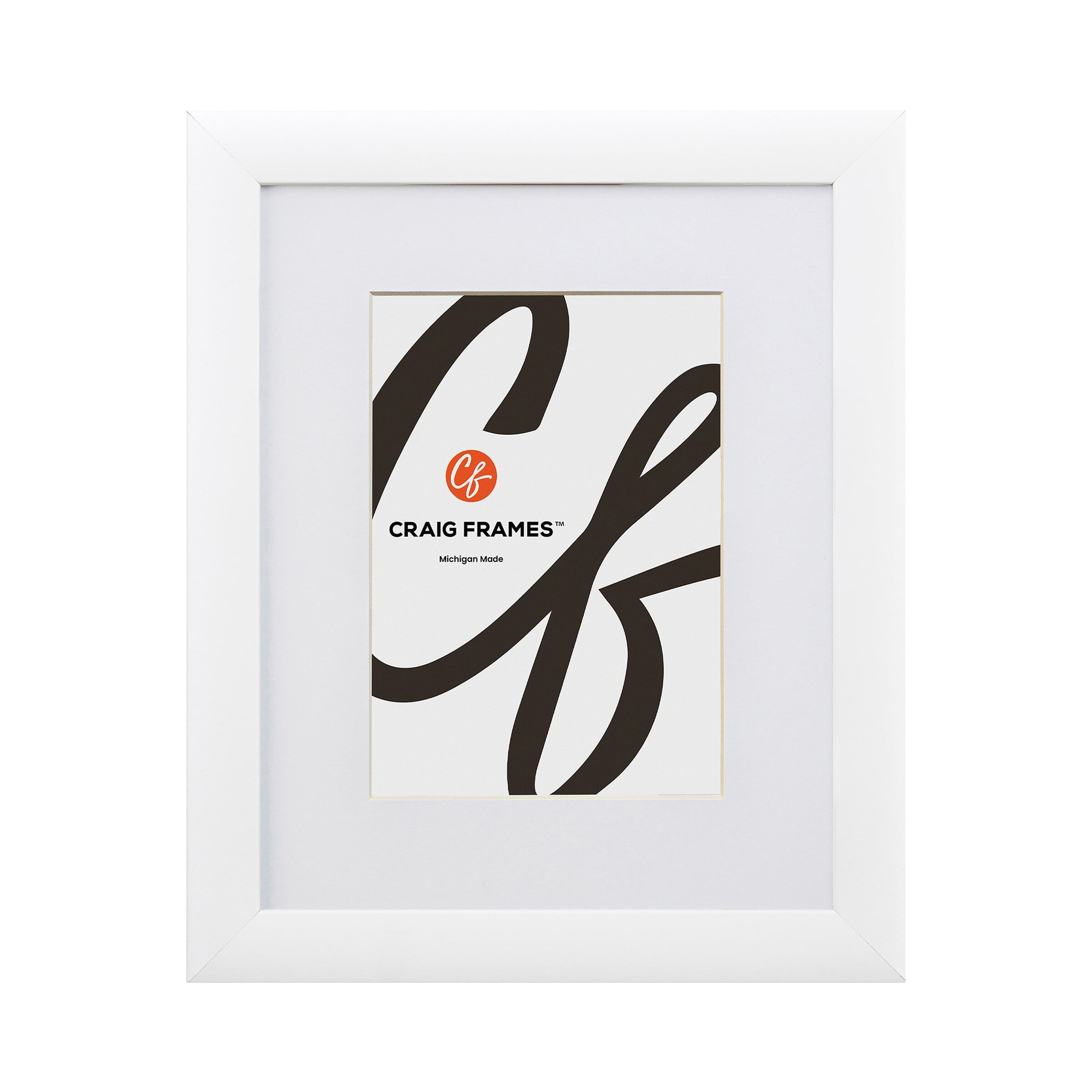 CRAIG FRAMES Contemporary, White Picture Frame Matted to Display a ...