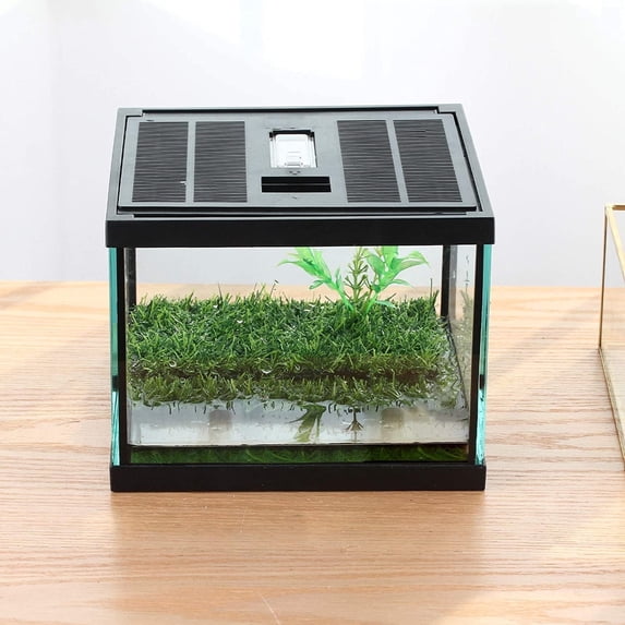 CRAPELLES Small Glass Frog Black Terrarium Kit, 7.8x7.8x5.9'' for ...