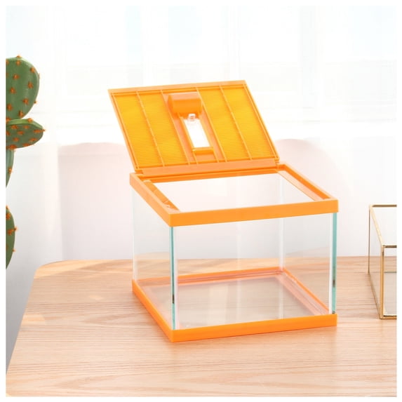 CRAPELLES Small Orange Glass Frog Black Terrarium Kit, 7.8x7.8x5.9 ...