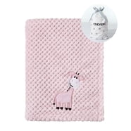 CREVENT Comfy Small Plush Flannel Fleece Throw Blanket for Infant Girls ...