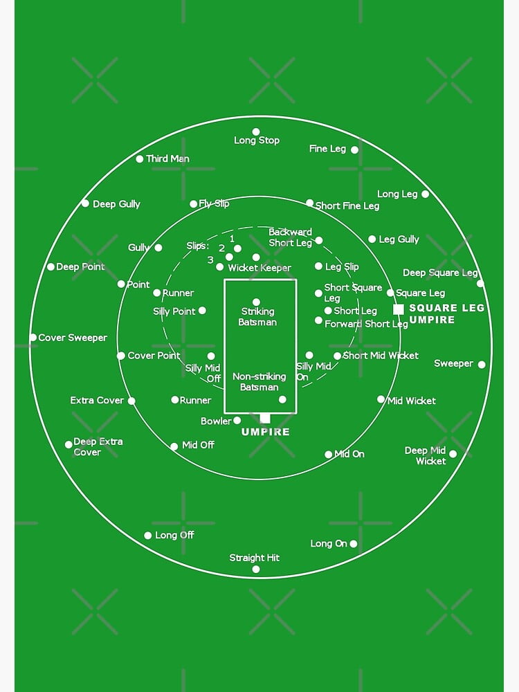 CRICKET PITCH POSITIONS- Fielding Positions Diagram Poster Framed ...